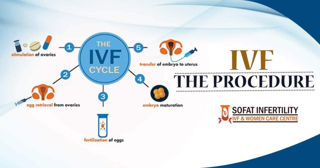 IVF: What are the different steps involved in the treatment of IVF for ...