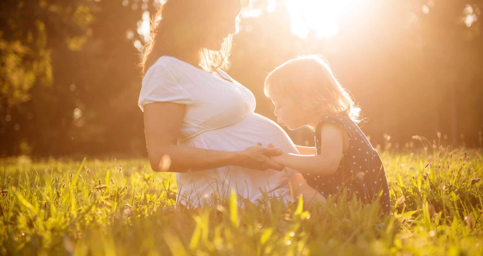 What Is Fallopian Tubal Blockage And How It Leads To Infertility In ...